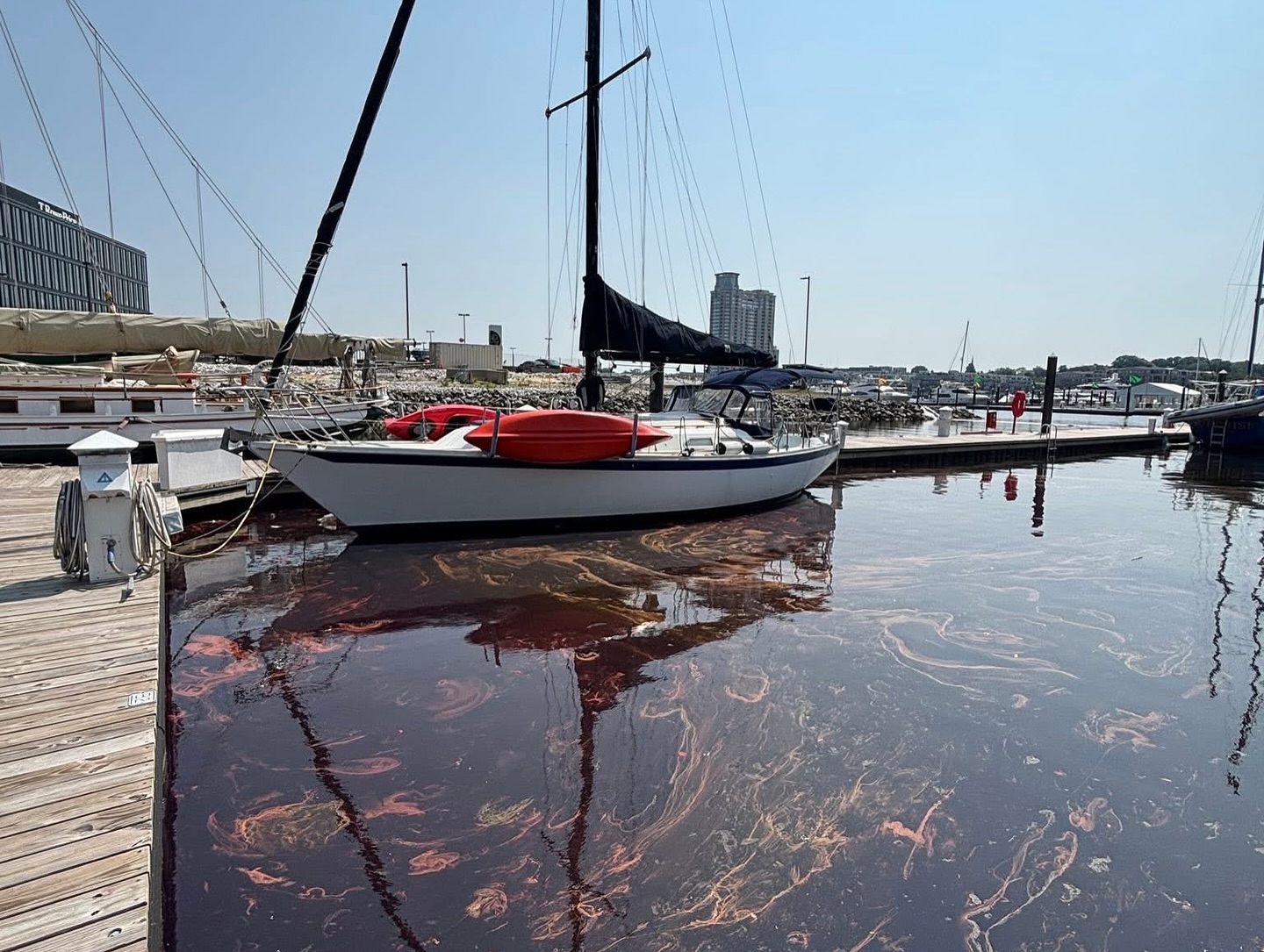 2,000 Gallon Diesel Spill in Baltimore's Harbor East Prompts ...